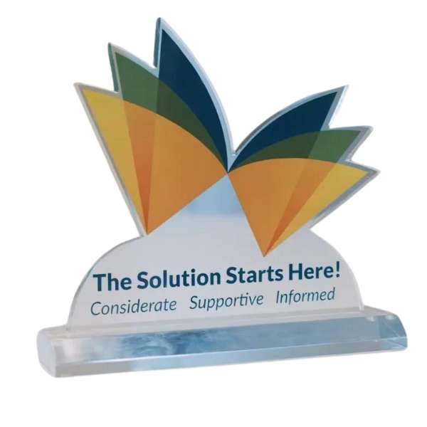 Care Solutions Inc.